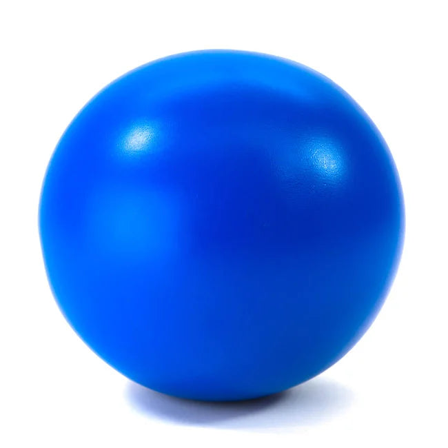Football for Dogs 25cm Blue – K9 Store