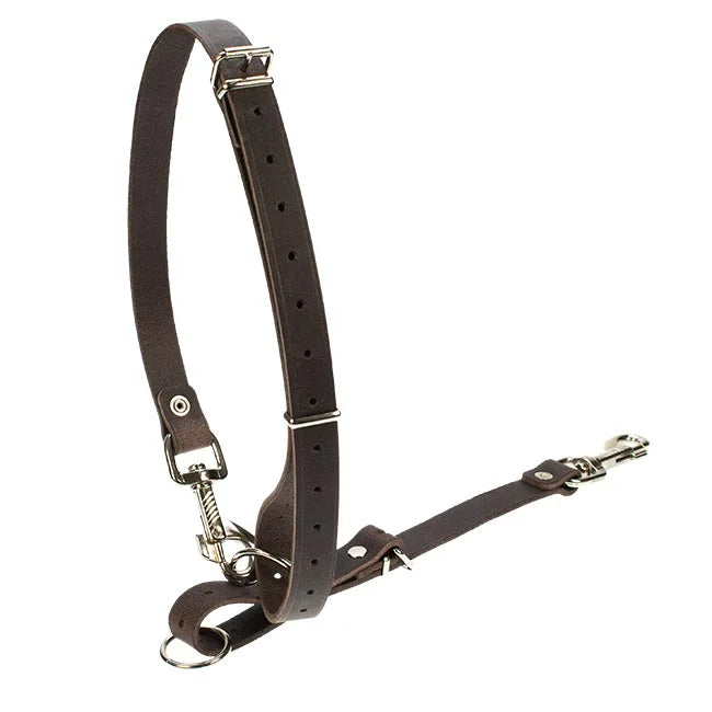 Böttcher Leather Dog Tracking Harness Brown – K9 Store