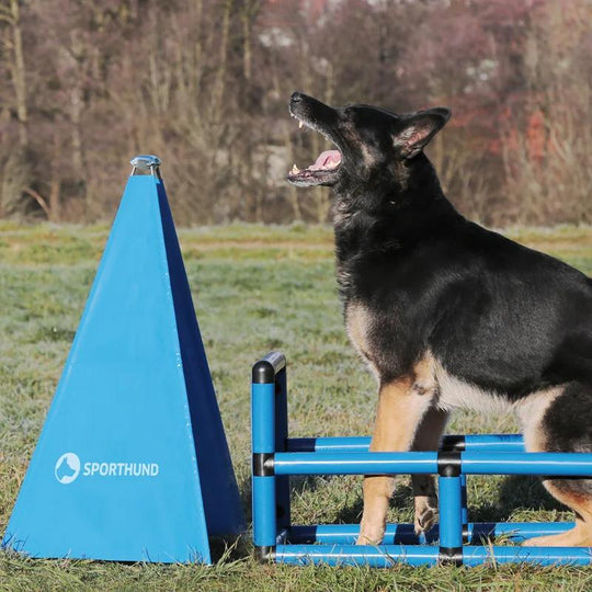 Professional Dog Training Gear Tested by Trainers | The K9 Store